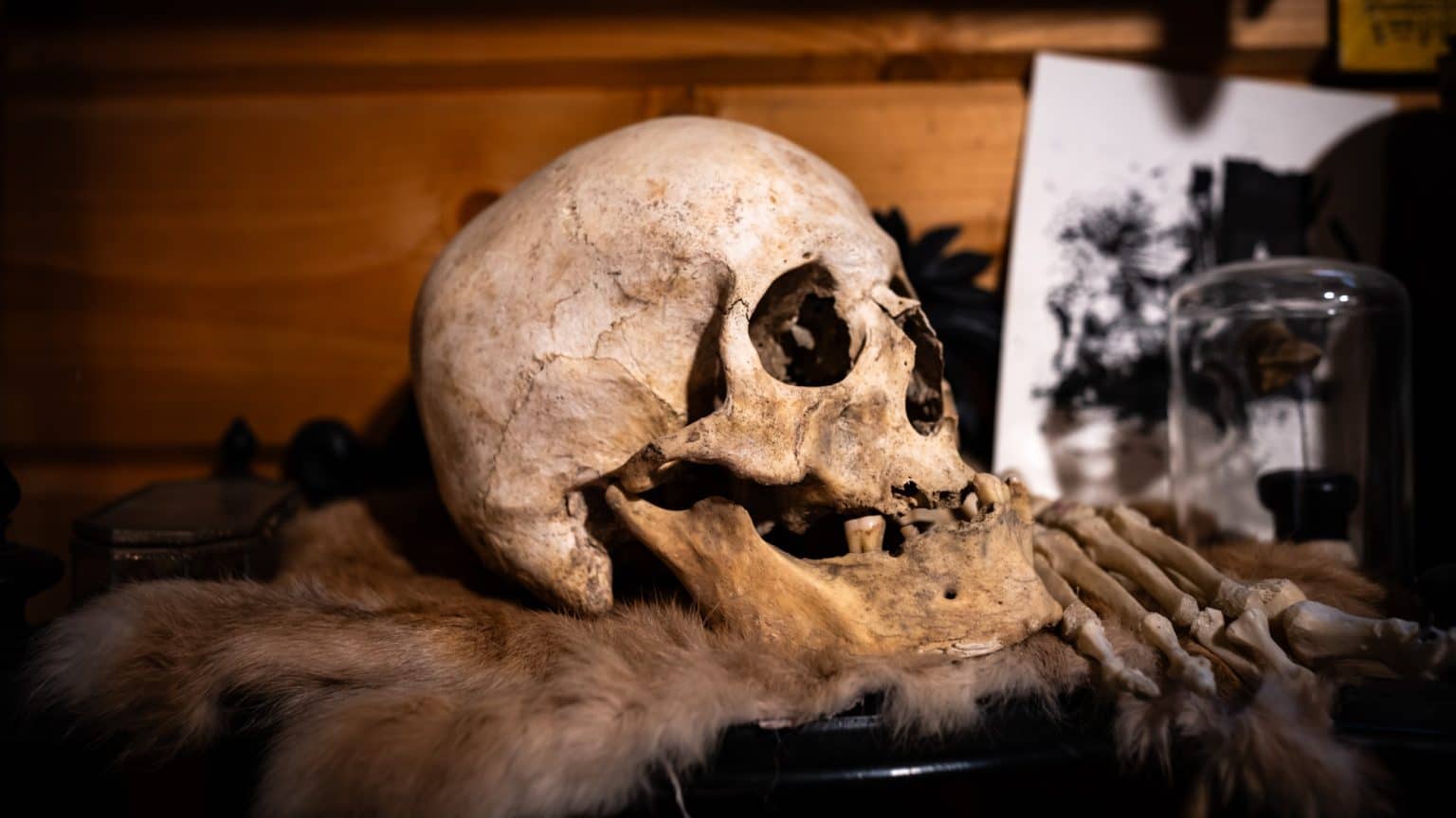 12 Haunted Museums Where Strange Things Are Always Happening