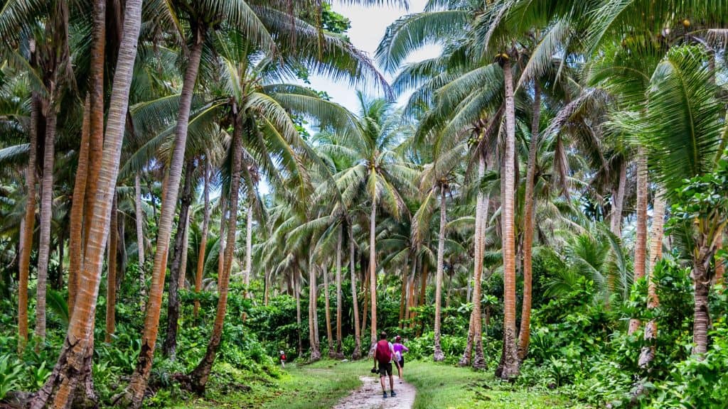 14 Reasons The Solomon Islands Might Be The South Pacific’s Most ...