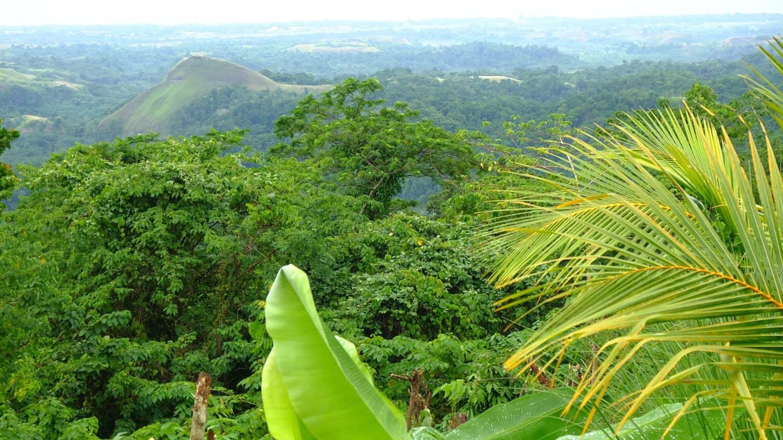 14 Reasons The Solomon Islands Might Be The South Pacific’s Most ...